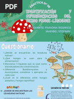 MX - Ficha Técnica - Termidor® Duo | PDF | Hexapoda | Insectos y humanos