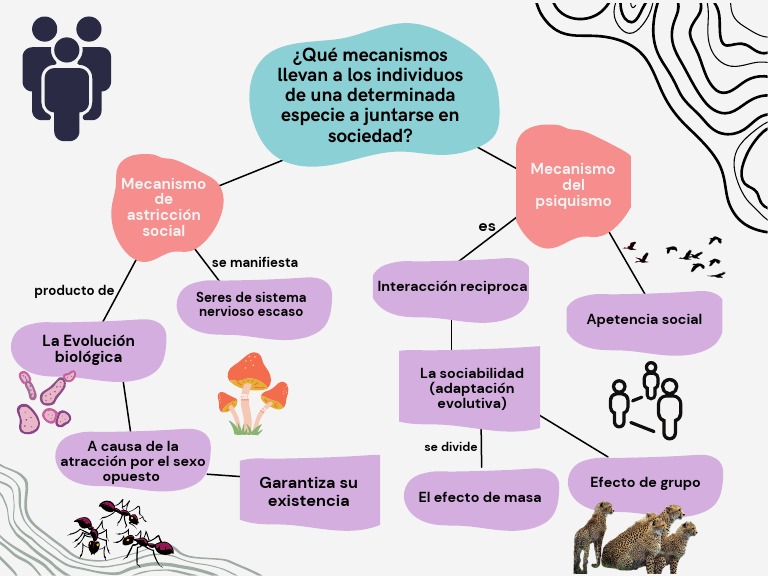 Mecanismos de Sociabilidad Humana | PDF