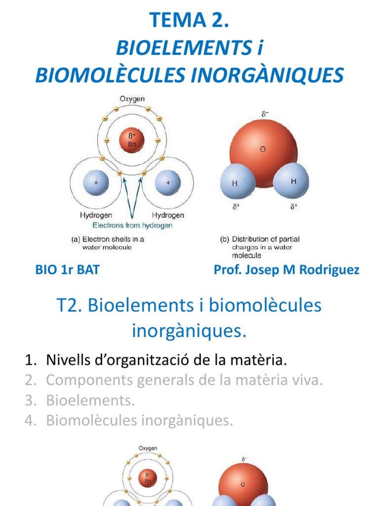 T02 - Bioelements I Biomolècules | PDF