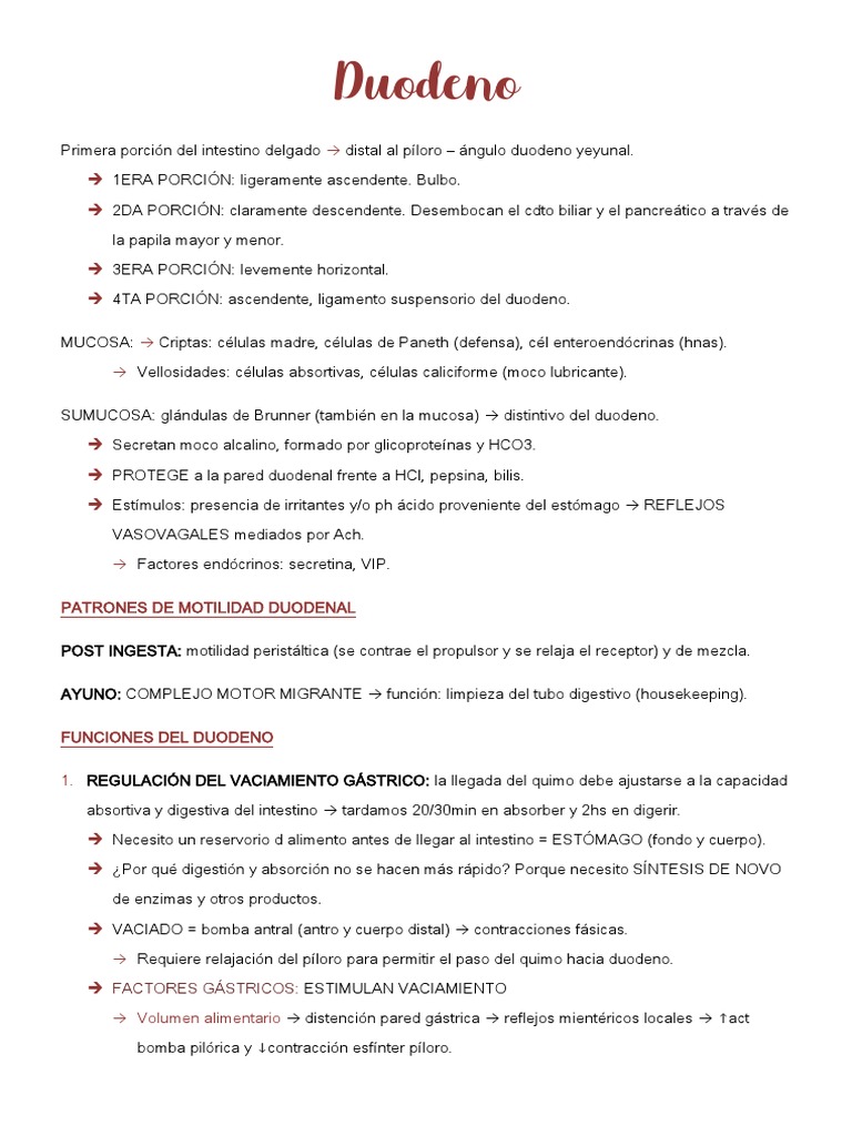 Duodeno | PDF | Digestión | Estómago