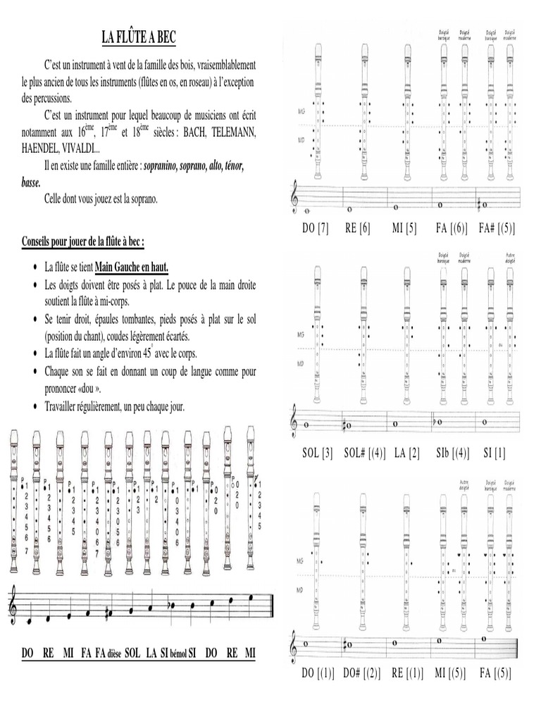 Guide de la Flûte à Bec pour Débutants | PDF
