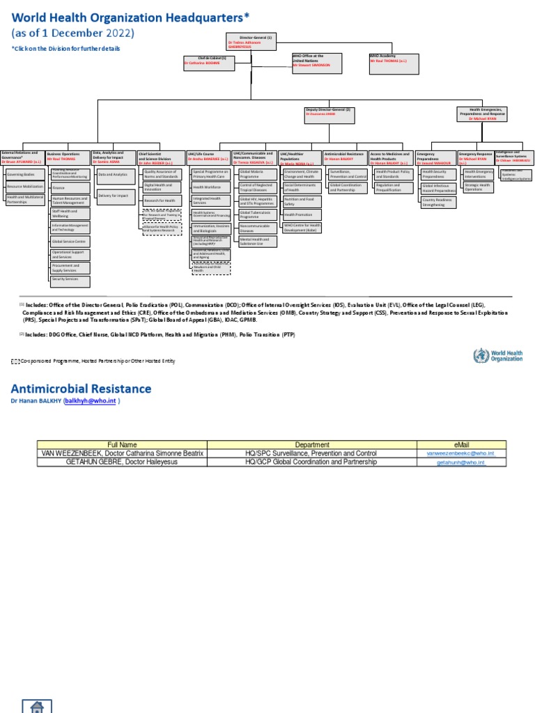 Organigram Who | PDF | World Health Organization | Health Economics