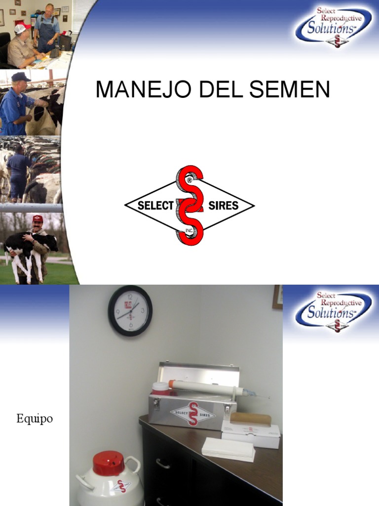 Manejo Del Semen | PDF