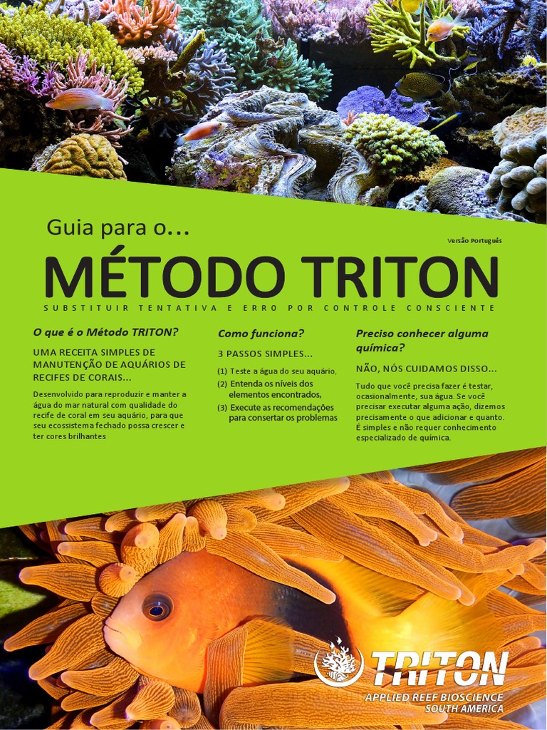 Metodo Triton PT H | PDF