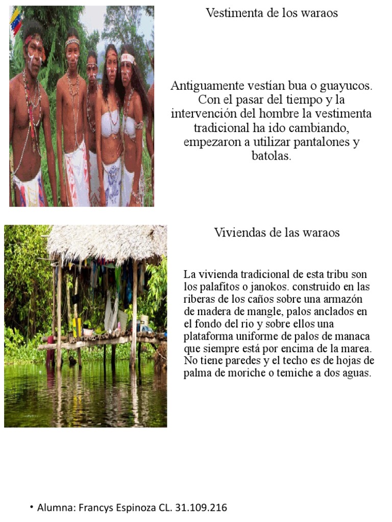 Vestimenta Tradicional de los Waraos | PDF | Ciencias sociales