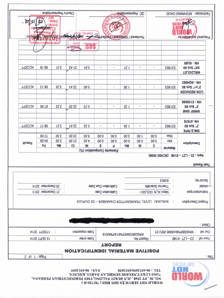 Sample PMI Report | PDF