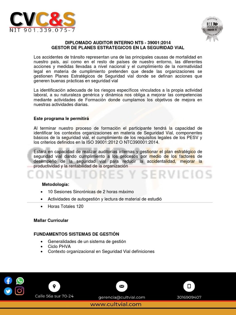 DPSV | PDF | Seguridad vial | Economias