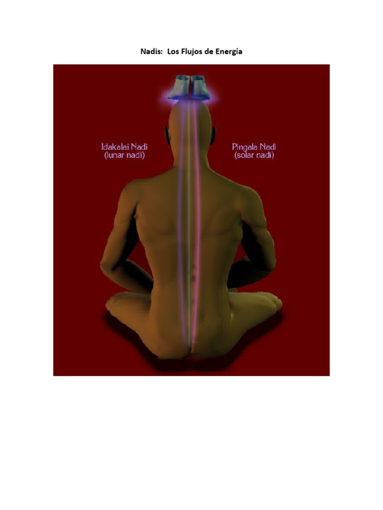 Nadis | PDF