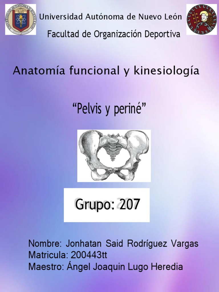 Anatomia de La Pelvis y Periné | PDF | Pelvis | Morfología (biología)