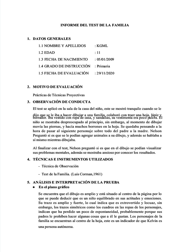 Modelo de Informe Test de La Familia | PDF