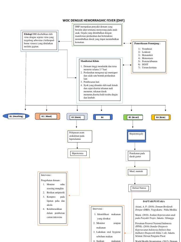 Woc DHF Kep. Anak | PDF