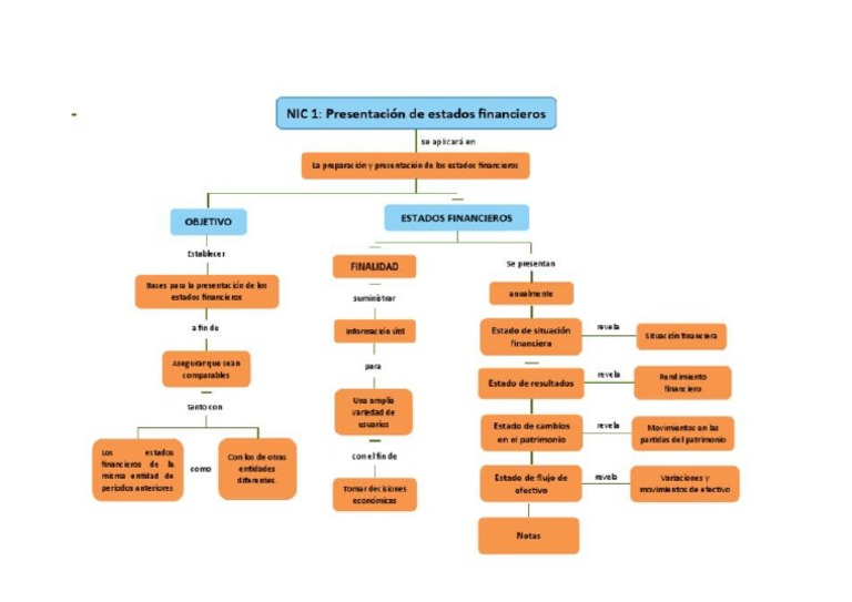Mapa Conceptual Del NIC | PDF