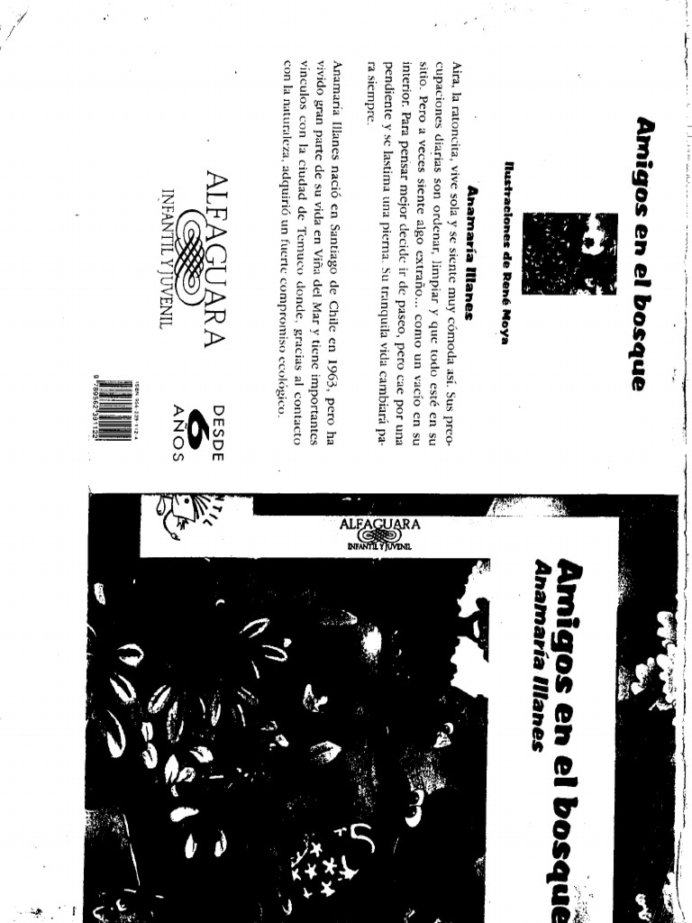 Amigos En El Bosque Pdf