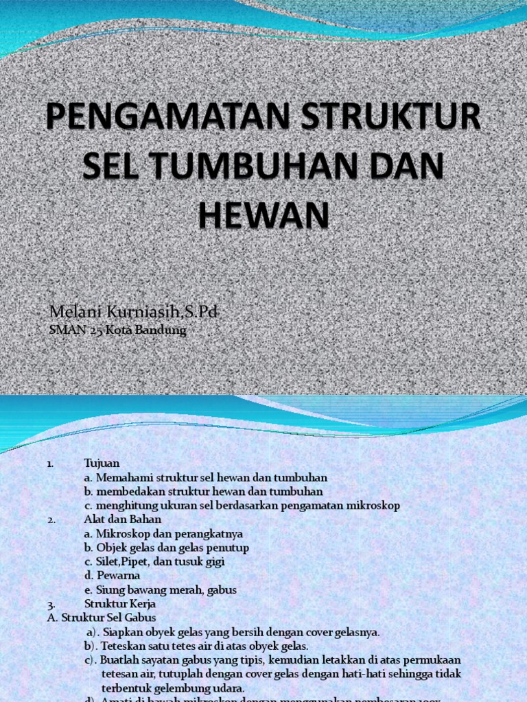 Memahami Struktur Sel | PDF | Griya & Taman | Seni