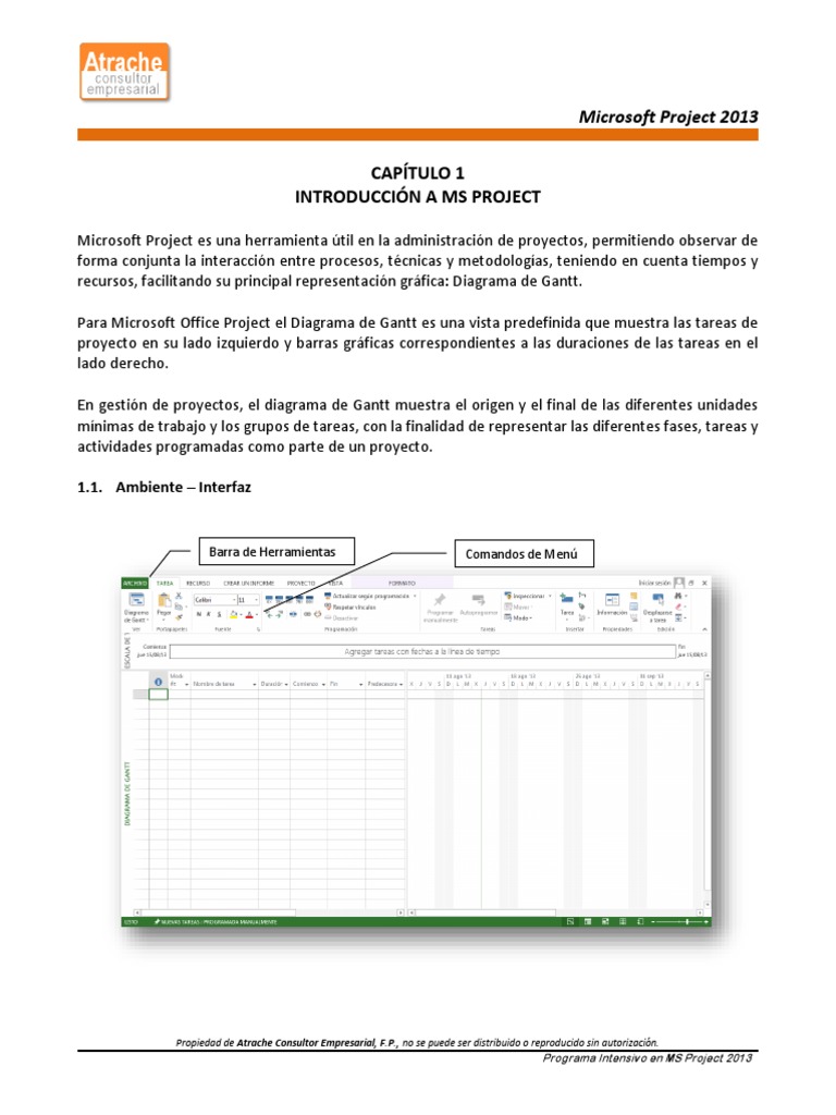 Capitulo 1 MS Project Introduccion | PDF | Microsoft | Programación de computadoras