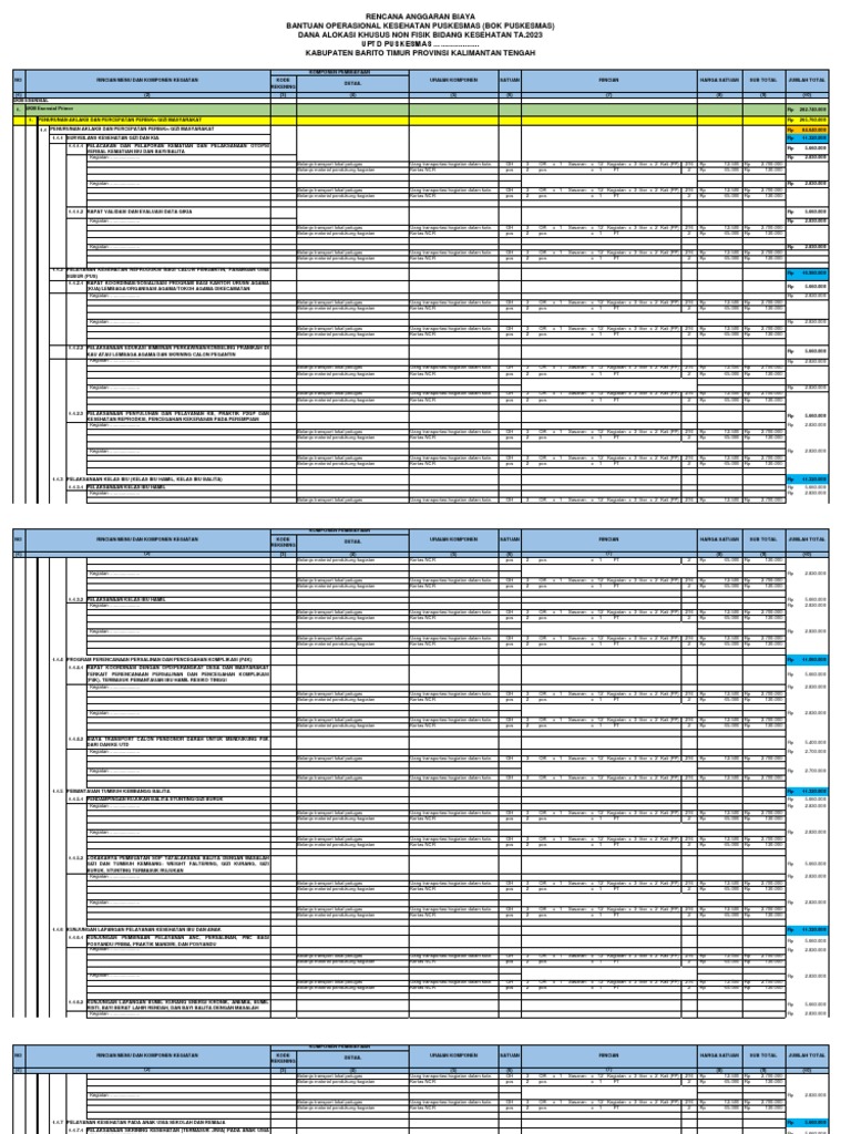 Contoh Format Rab 2023 Bok Puskesmas | PDF