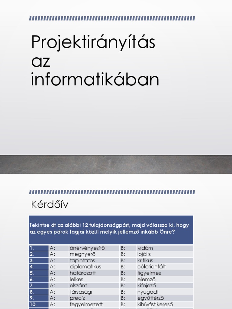 DISC Modell | PDF