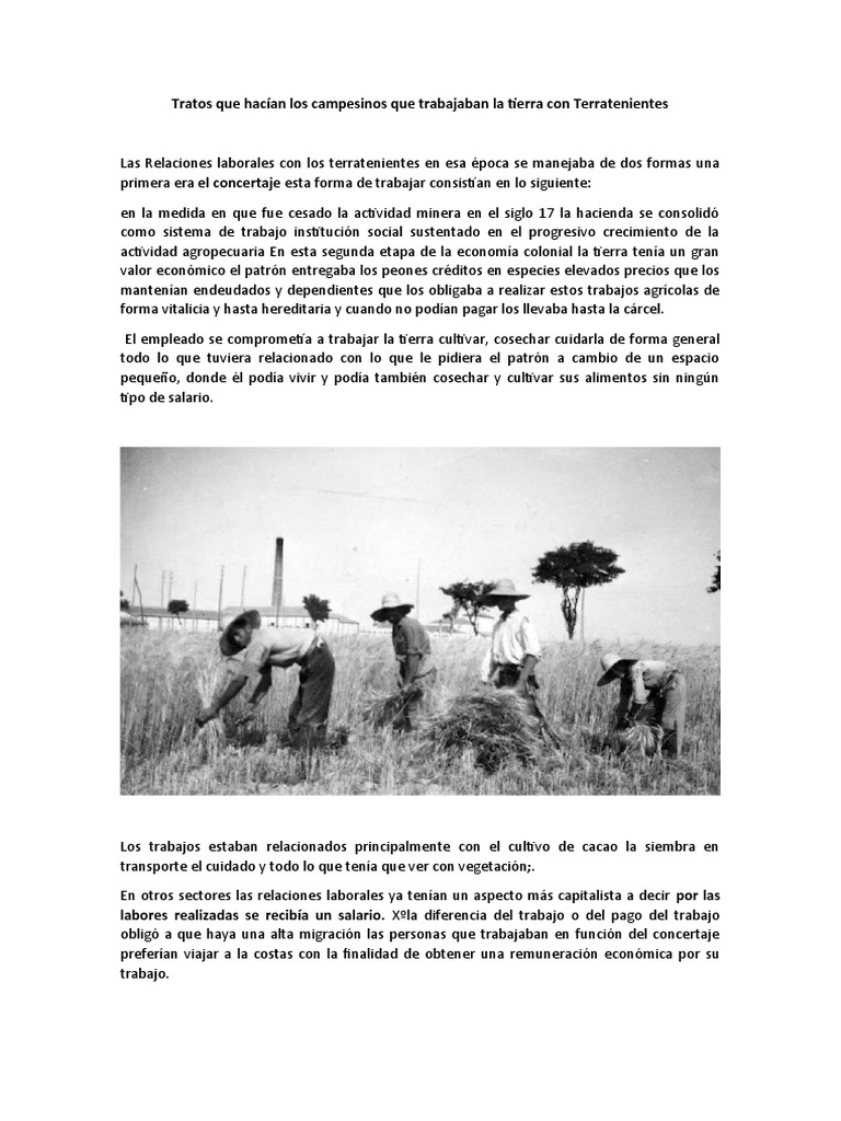 Tratos Que Hacían Los Campesinos Que Trabajaban La Tierra Con ...