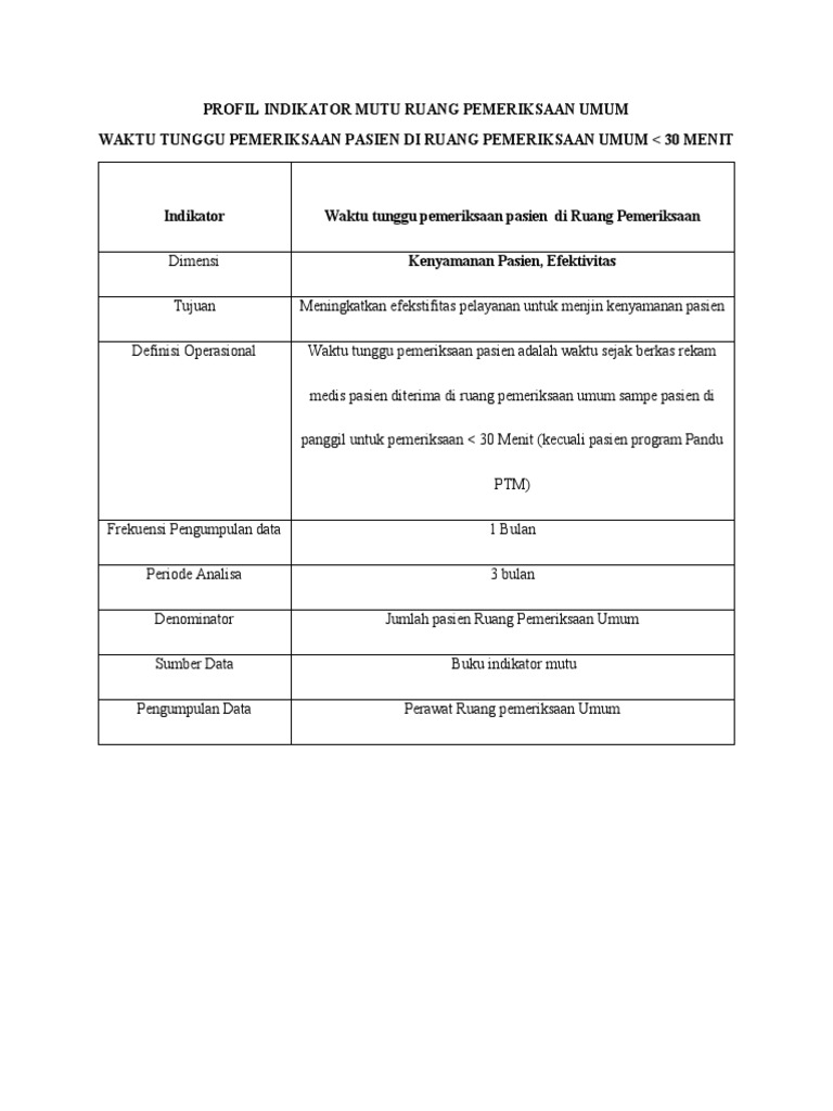 Profil Indikator Mutu Ruang Pemeriksaan Umum | PDF