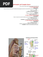 Triangular Space - Borders - Contents - TeachMeAnatomy | PDF