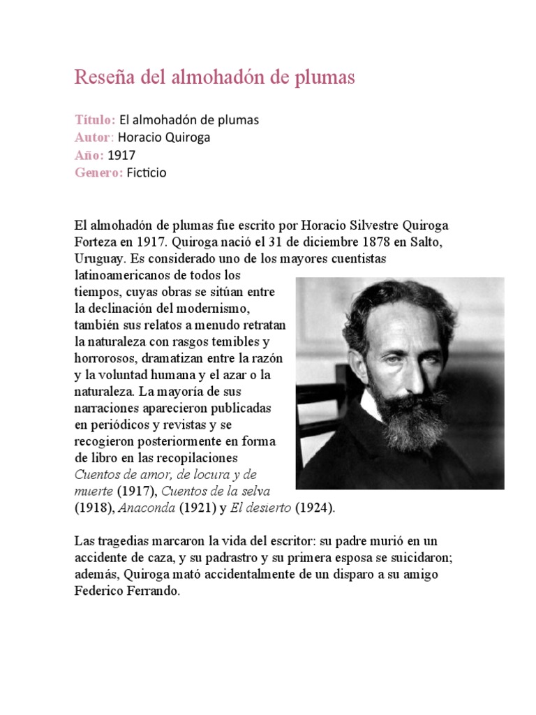Reseña Del Almohadón de Plumas | PDF