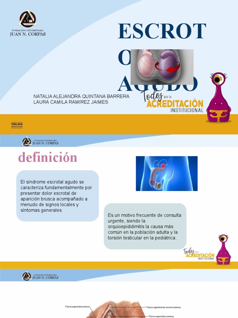 Escroto Agudo | PDF | Ciencias de la Salud | Especialidades Medicas