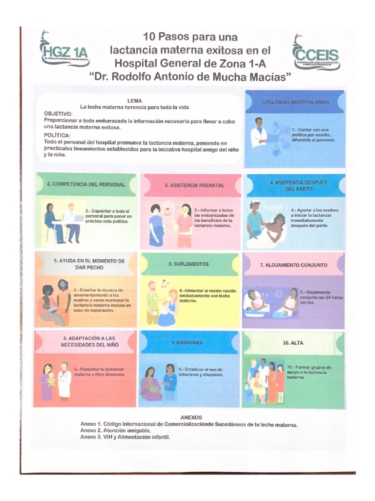 10 Pasos | PDF
