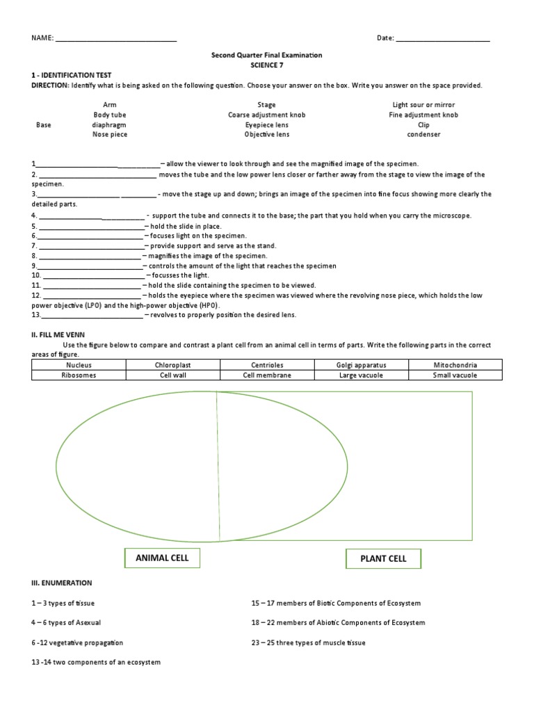 Microscope Identification Test | PDF | Cell (Biology) | Eukaryotes