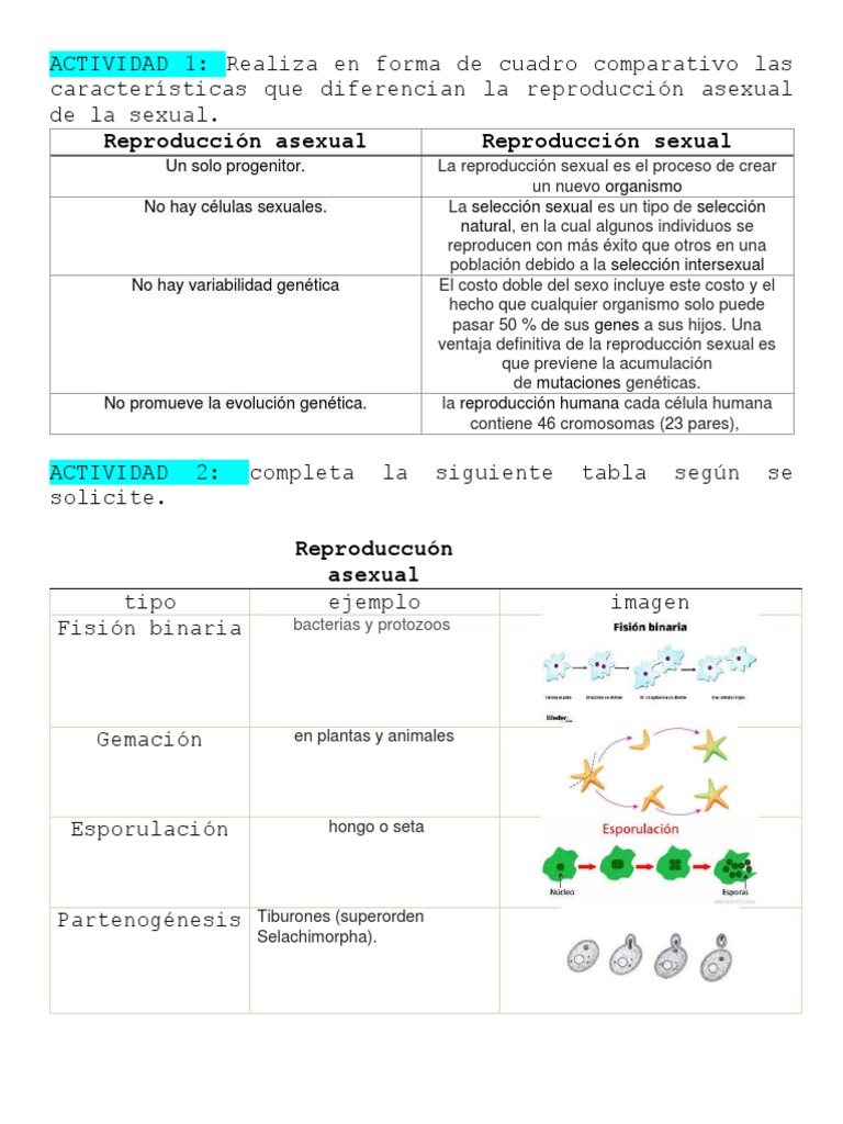 Act1,2,3 de Reproducción | PDF | Reproducción sexual | Biología