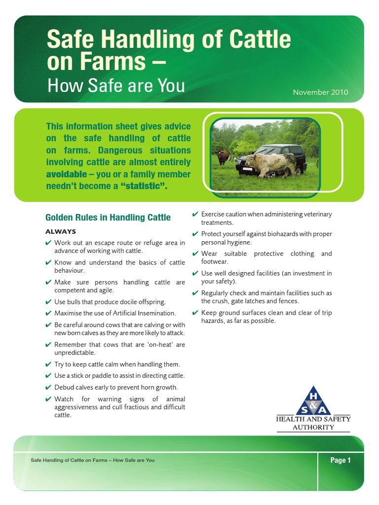 Safe Handling of Cattle On Farms Information Sheet | PDF | Cattle ...