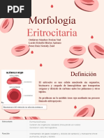 CODOCITOS | PDF | Glóbulo rojo | Sangre