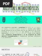 Ficha Técnica Quantrel | PDF | Medicamentos con receta | El embarazo