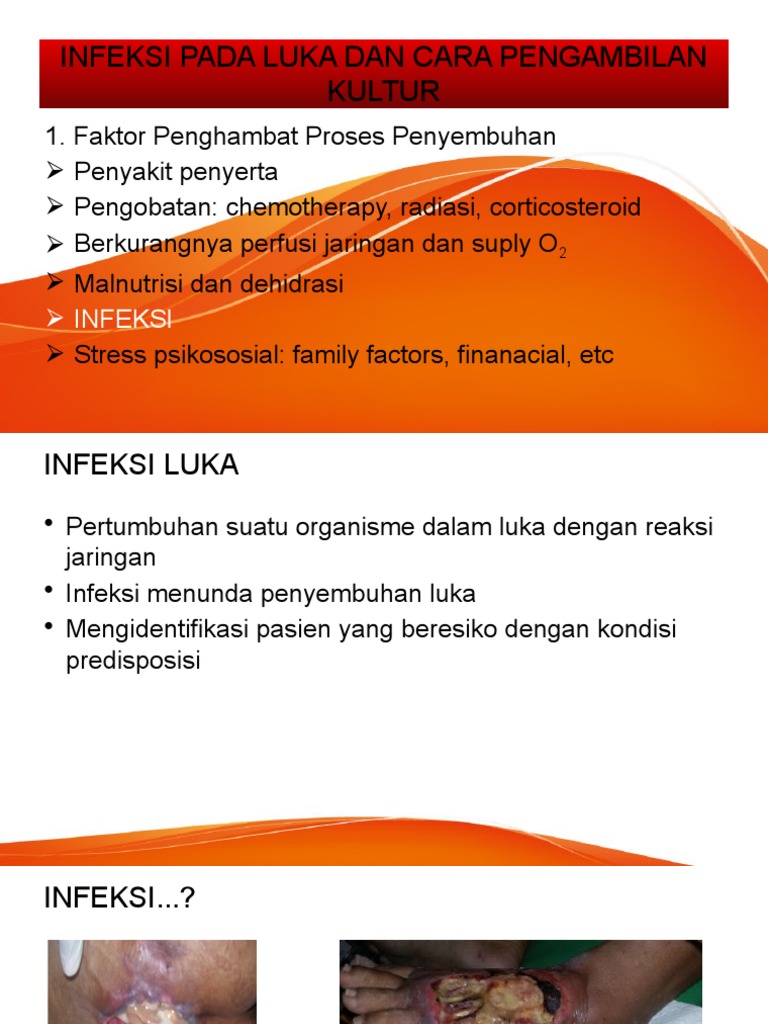 Panduan Infeksi Luka & Kultur | PDF | Sains & Matematika
