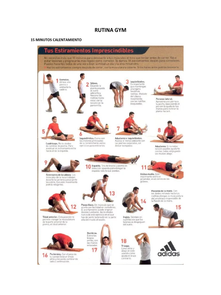 Rutina Gym | PDF
