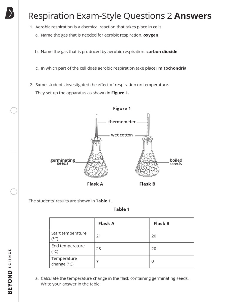 Respiration Exam-Style Questions 2 Answers | PDF