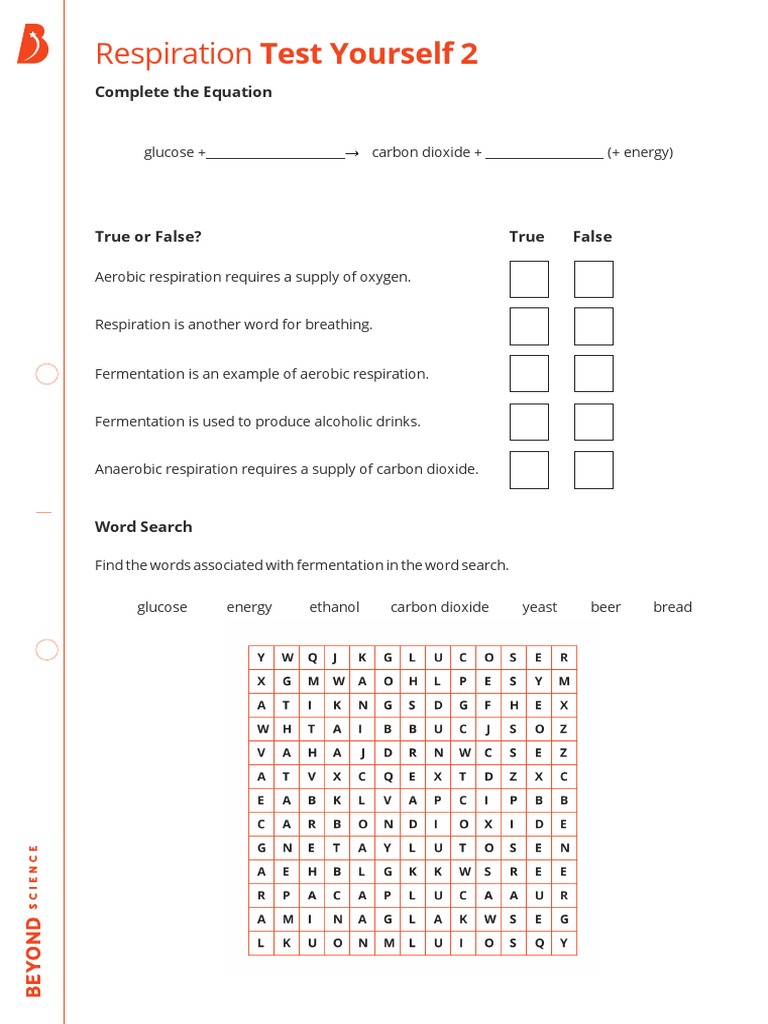 Respiration Test Yourself 2 | PDF