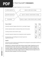 WS - Biology Grade 8 | PDF | Respiratory System | Breathing