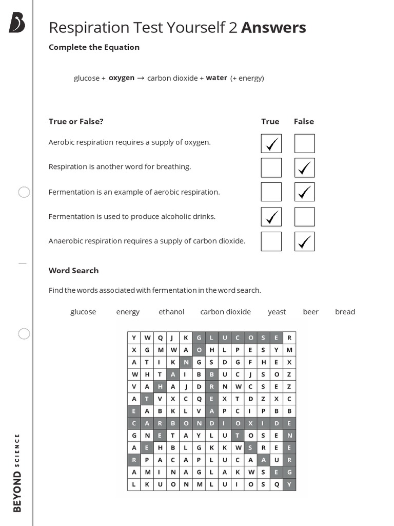 Respiration Test Yourself 2 Answers | PDF