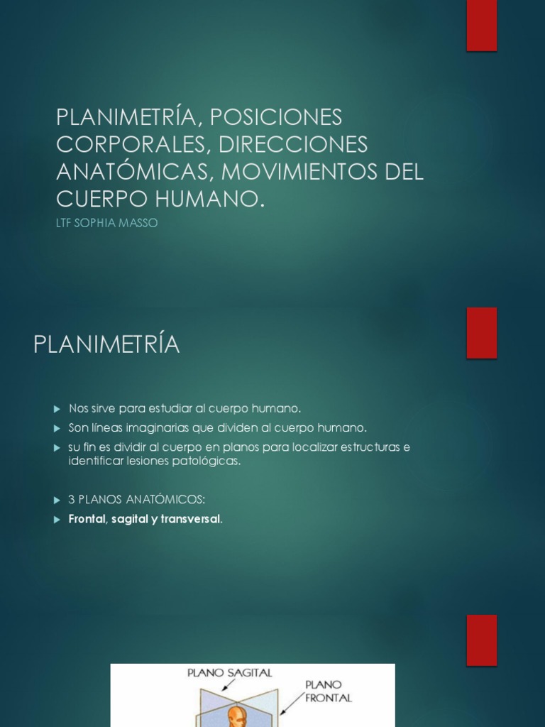 Planimetría, Posiciones Corporales, Direcciones Anatómicas y ...