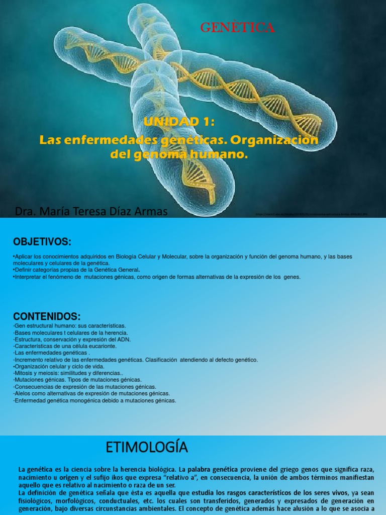 Genetica Combinada | PDF | Mitosis | Mutageno