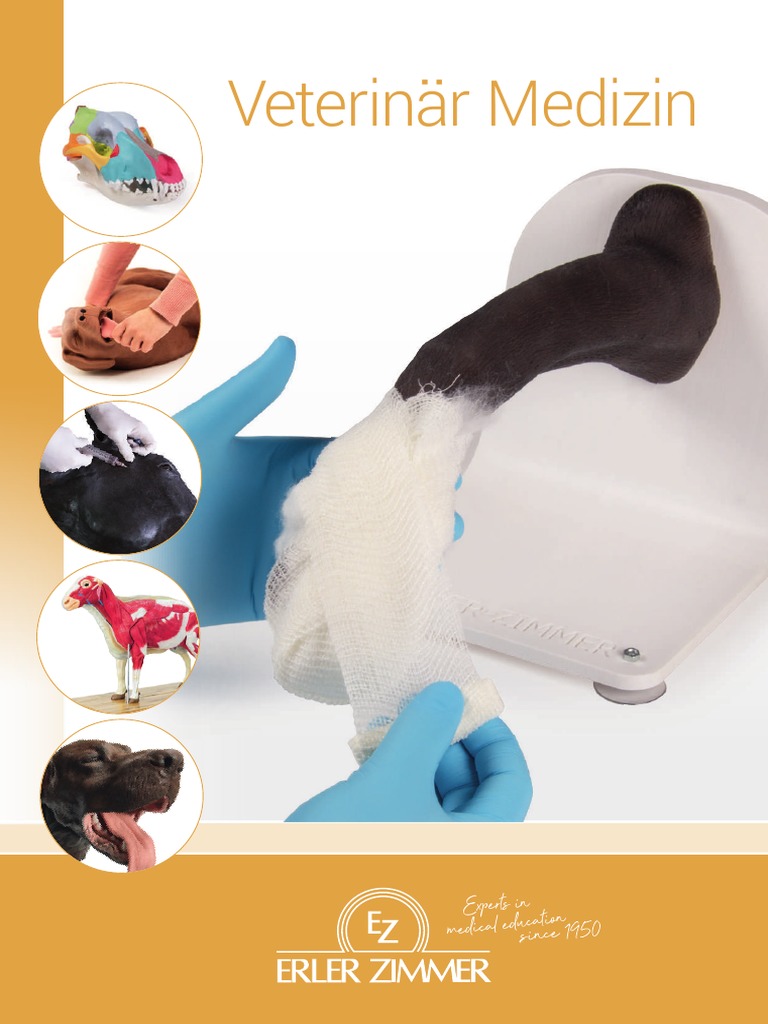 Veterinary Medicine - Models and Simulators From Erler-Zimmer | PDF ...