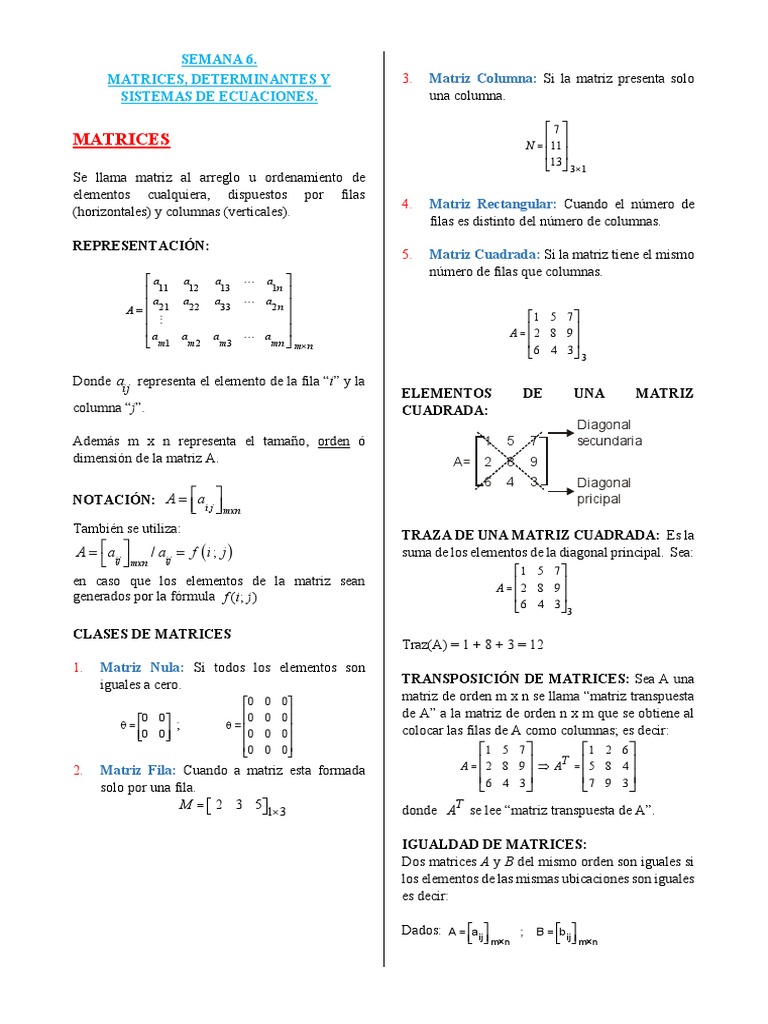 Álgebra de Matrices y Sistemas | PDF | Matriz (Matemáticas) | Determinante