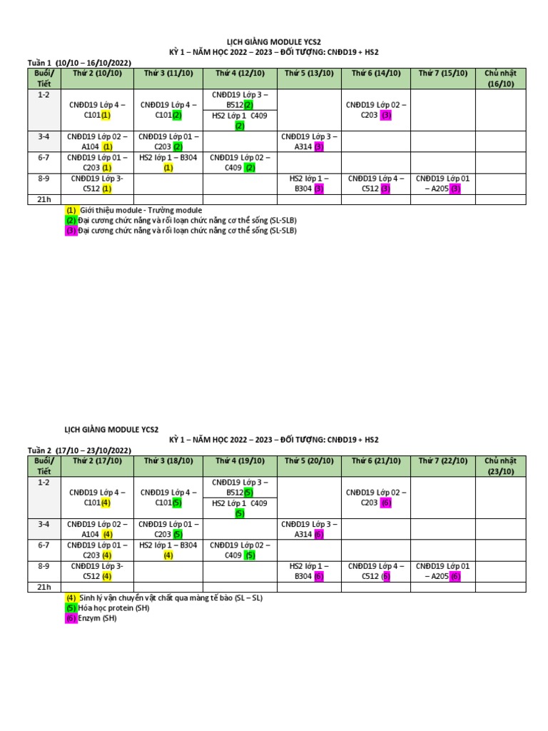 Lá CH Dáº¡y - Há C YCS2 CNDD19 + HS2 2 | PDF