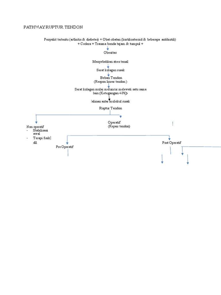 Pathway Ruftur Tendon | PDF