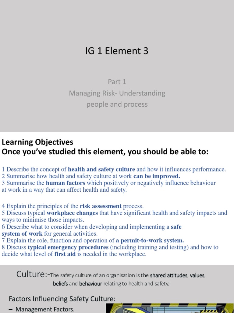 IG 1 Element 3 Set 1 | PDF | Occupational Safety And Health | Risk