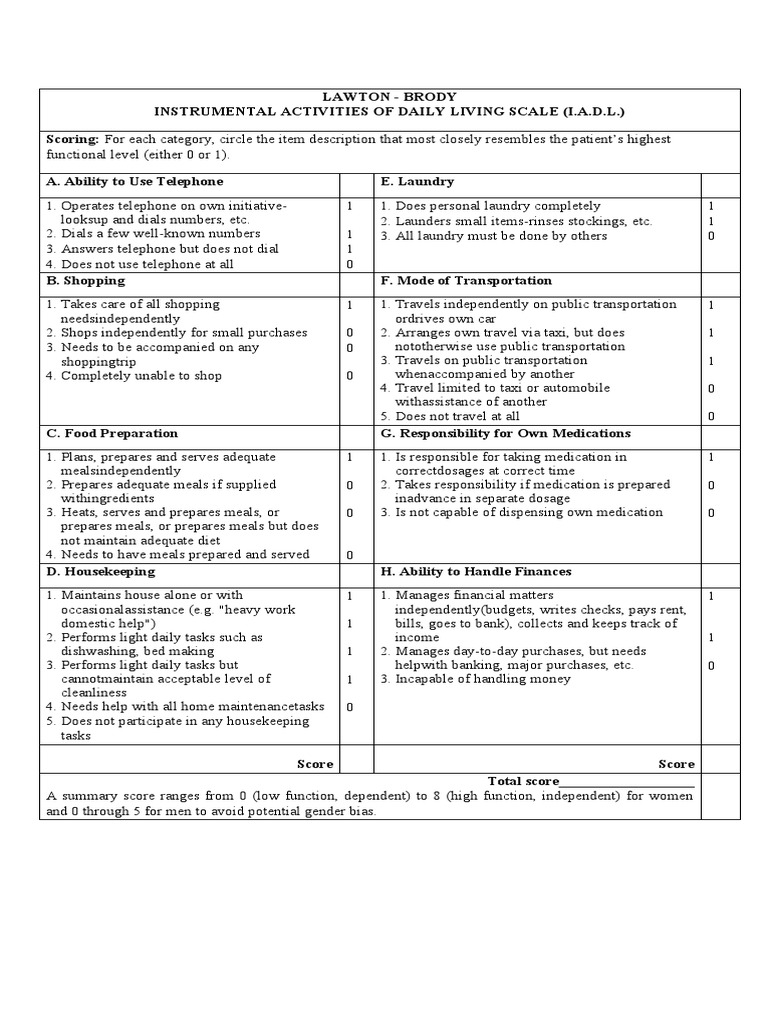 Lawton IADL Form English | Download Free PDF | Transport | Economies