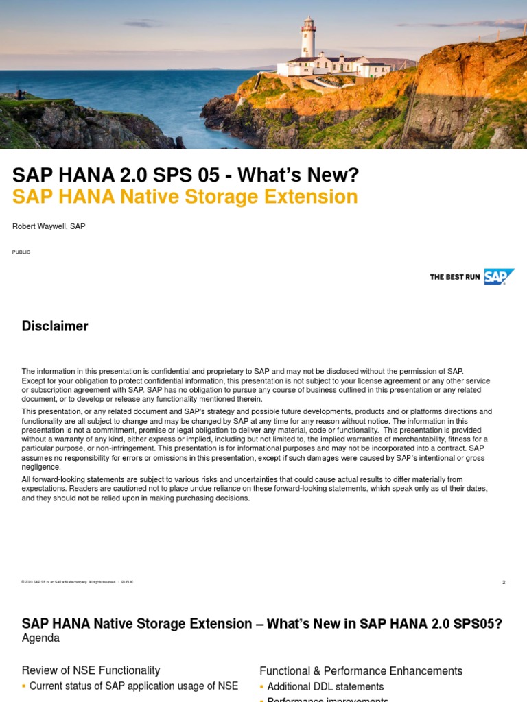 SAP HANA 2.0 SPS 05 What's New? SAP HANA Native Storage Extension | PDF ...