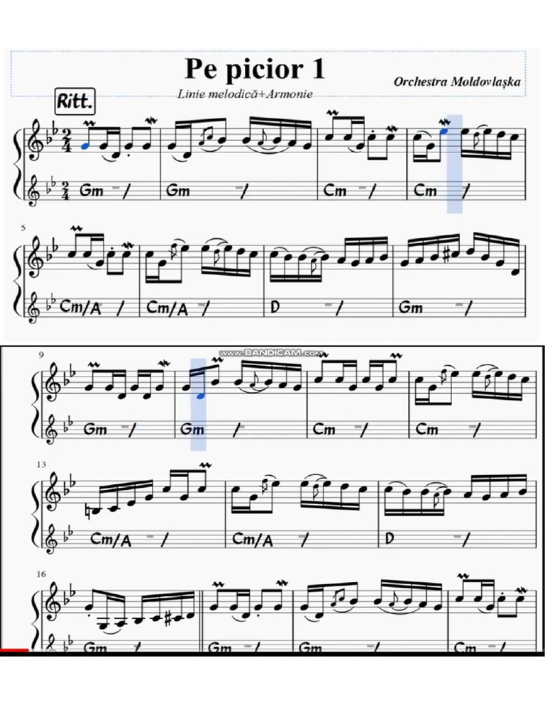Orchestra Moldovlaska - Pe Picior | PDF