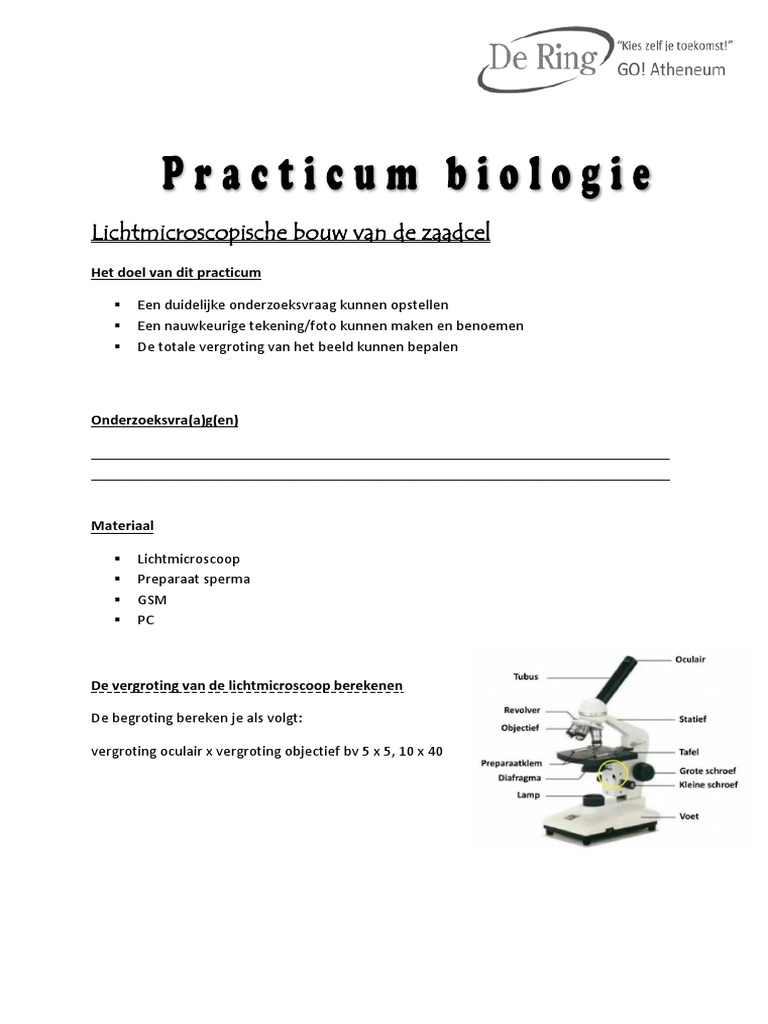 Practicum Lichtmicroscopie 2022 | PDF