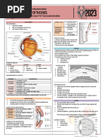 OPTHA 2.2 GLAUCOMA - Dr. Fermin | PDF | Glaucoma | Human Eye